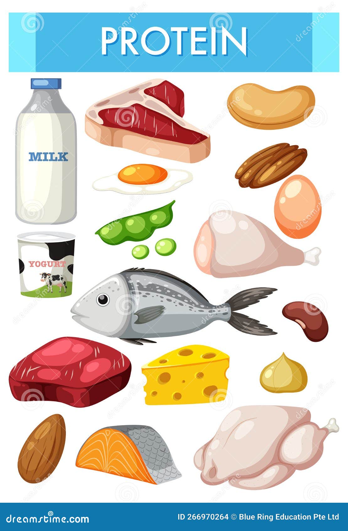 Variety of protein foods stock vector. Illustration of clipart - 266970264