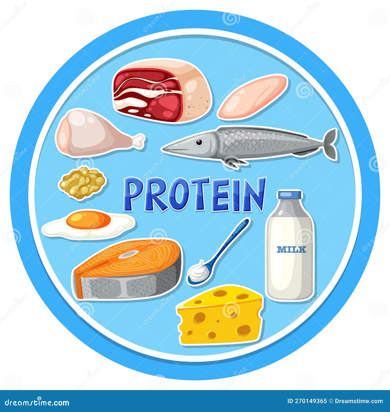 Variety of protein foods stock vector. Illustration of bird - 270149365
