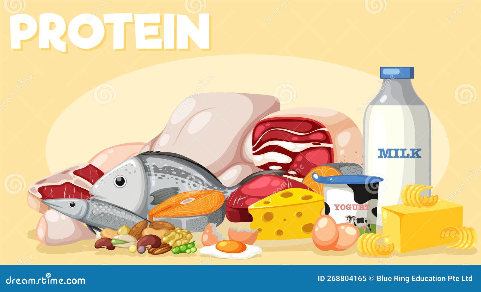 Variety of Protein Foods Poster Stock Vector - Illustration of drawing ...