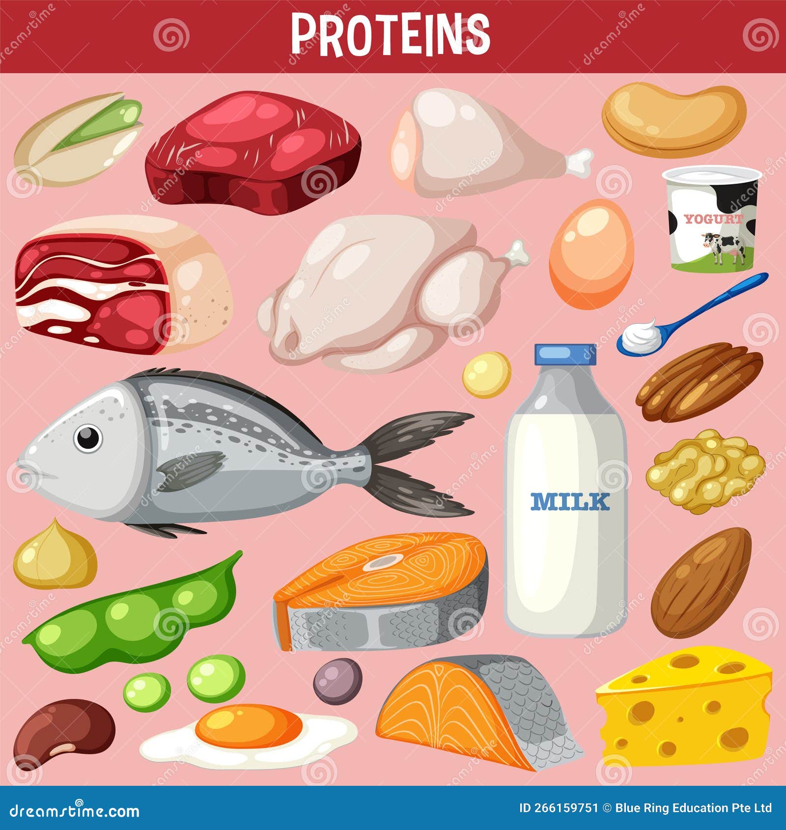 Variety of Protein Meats with Text Stock Vector - Illustration of ...
