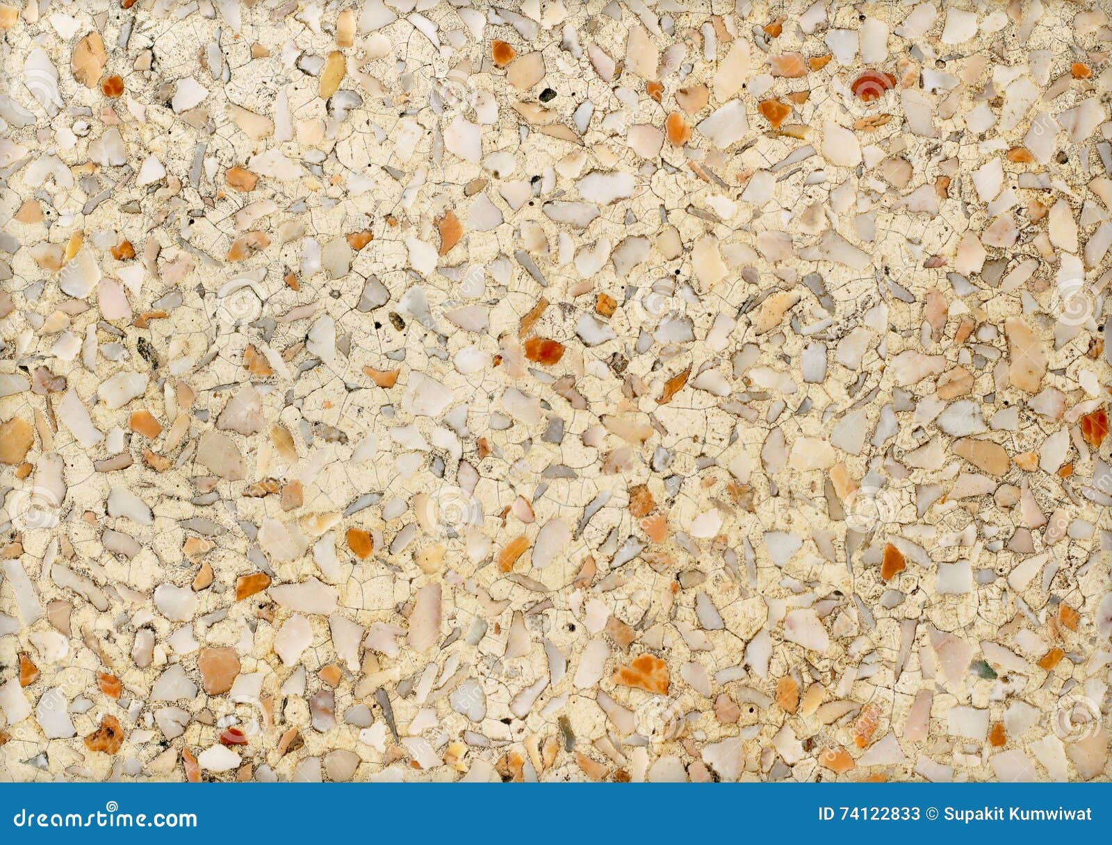 Variety Puddingstone Photos - Free & Royalty-Free Stock Photos from ...