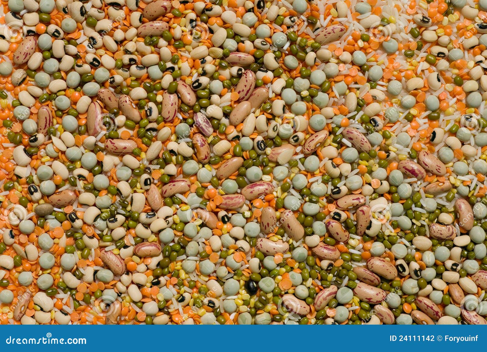 Variety of Pulses Essential for Human Life Stock Photo - Image of macro ...