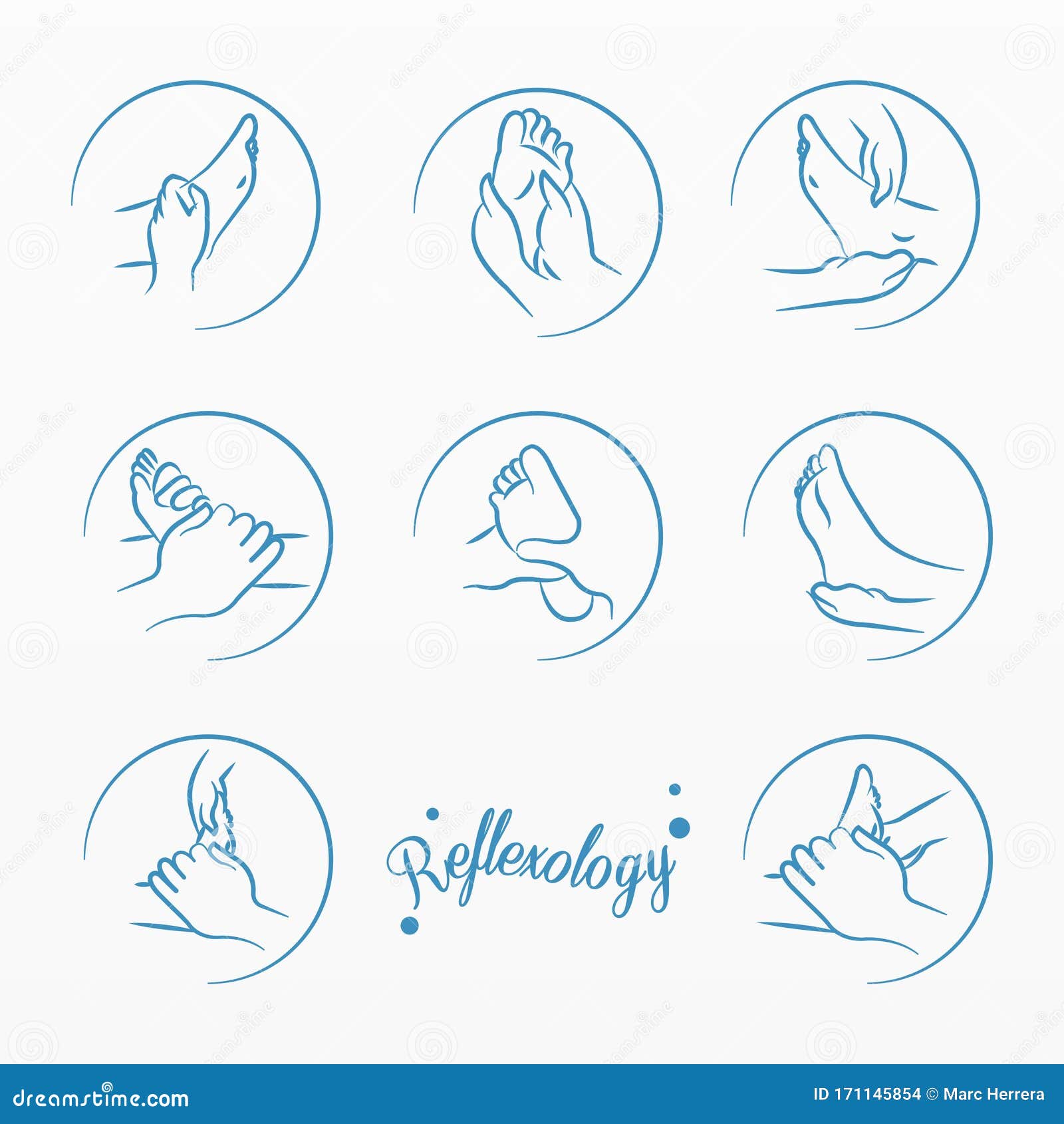 Facial Reflexology Chart Vector 186280286