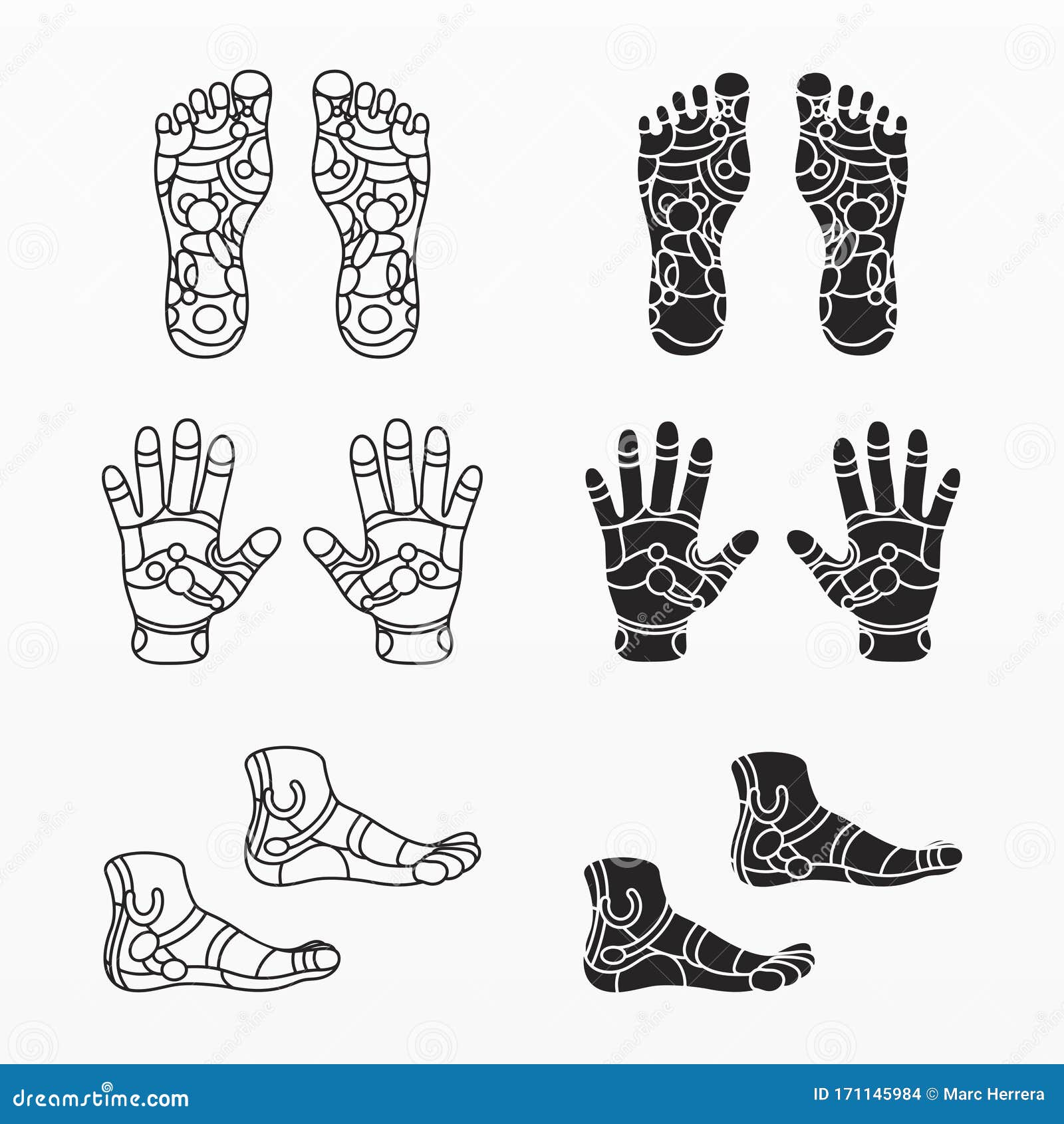 Facial Reflexology Chart Vector 186280286