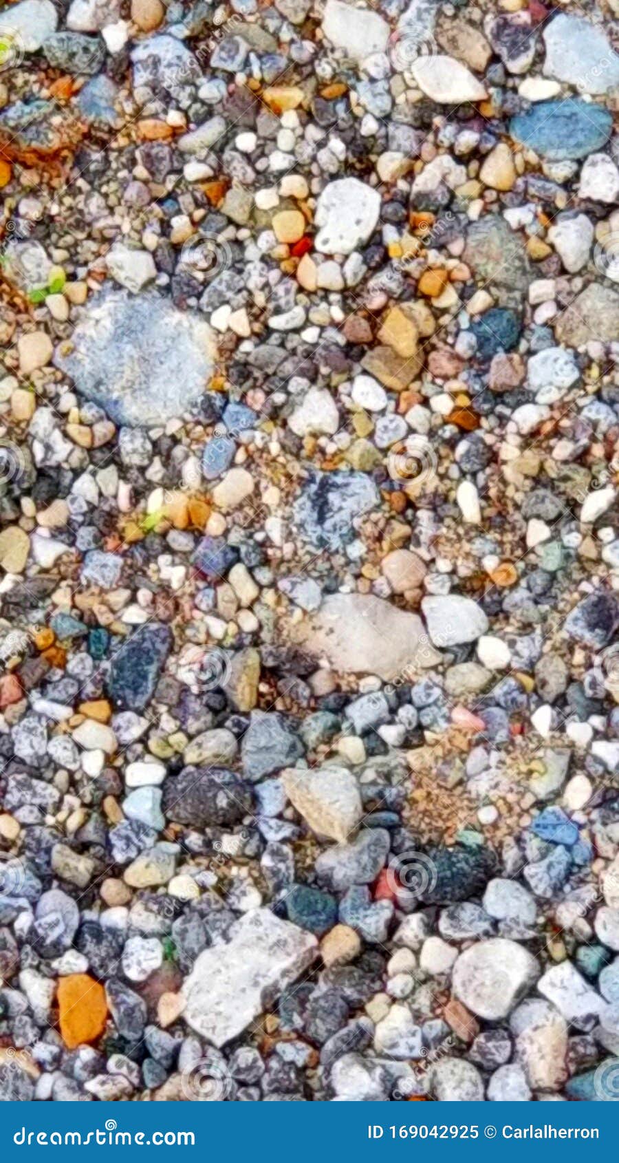 Variety of River Rocks Medium Small and Tiny Stock Image - Image of ...