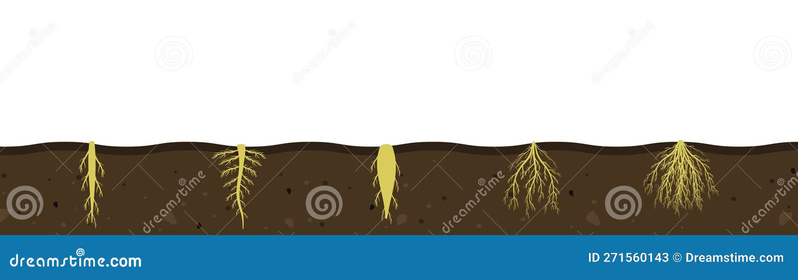 Variety Of Root Systems In Soil. Vector Illustration Of Black Soil ...