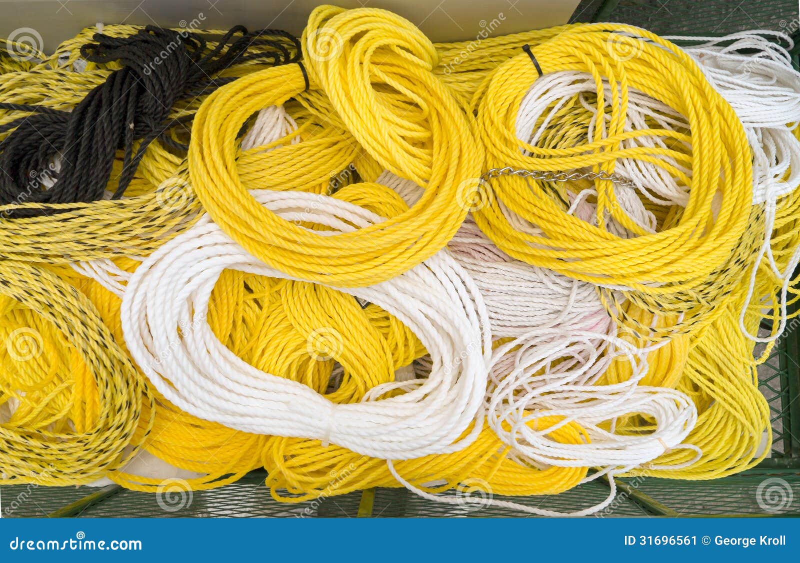 A variety of ropes. stock image. Image of sale, variety - 31696561