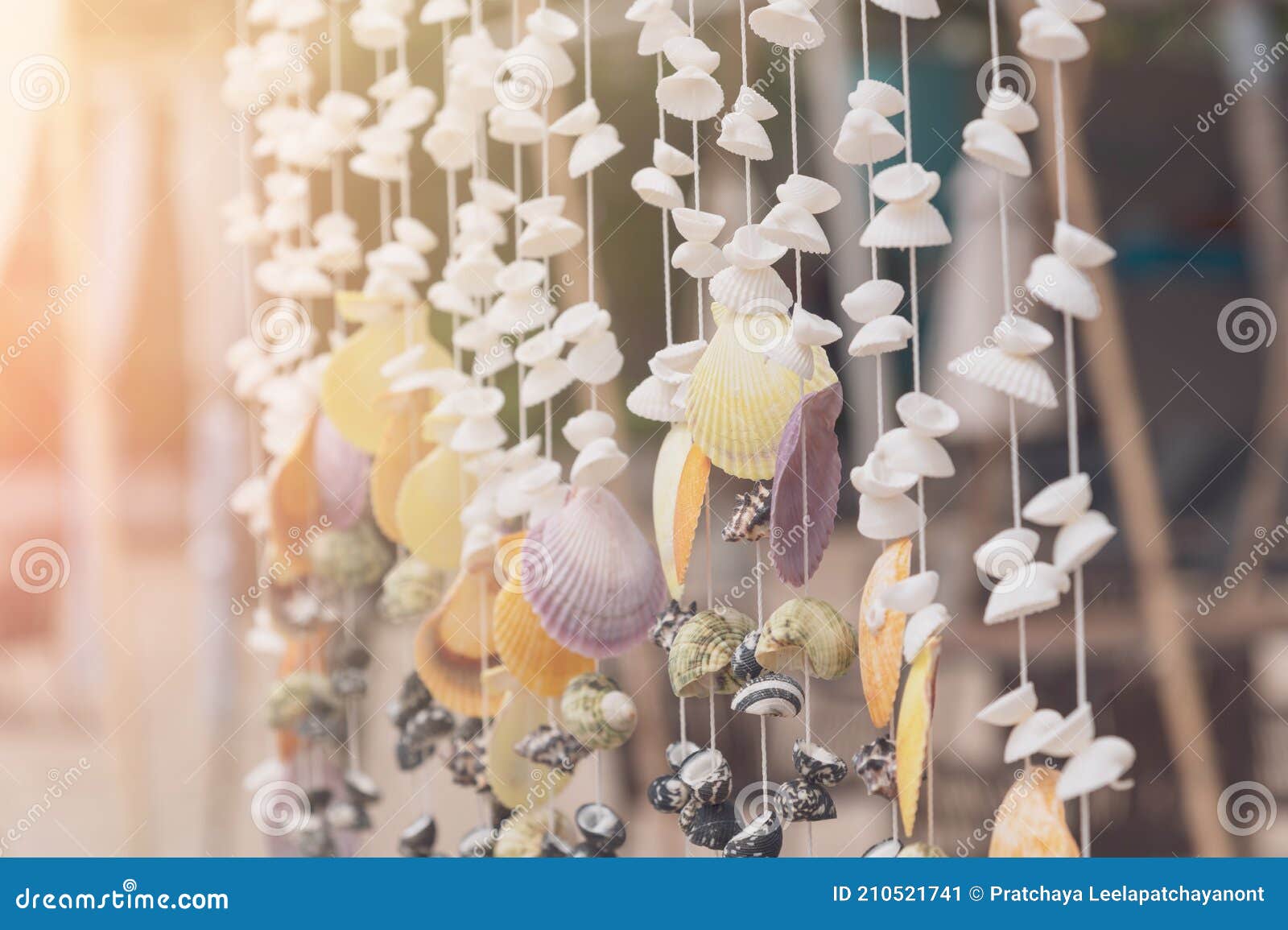 Variety Seashells Mobile Hanging. Handicrafts Produced by Sea Shell ...