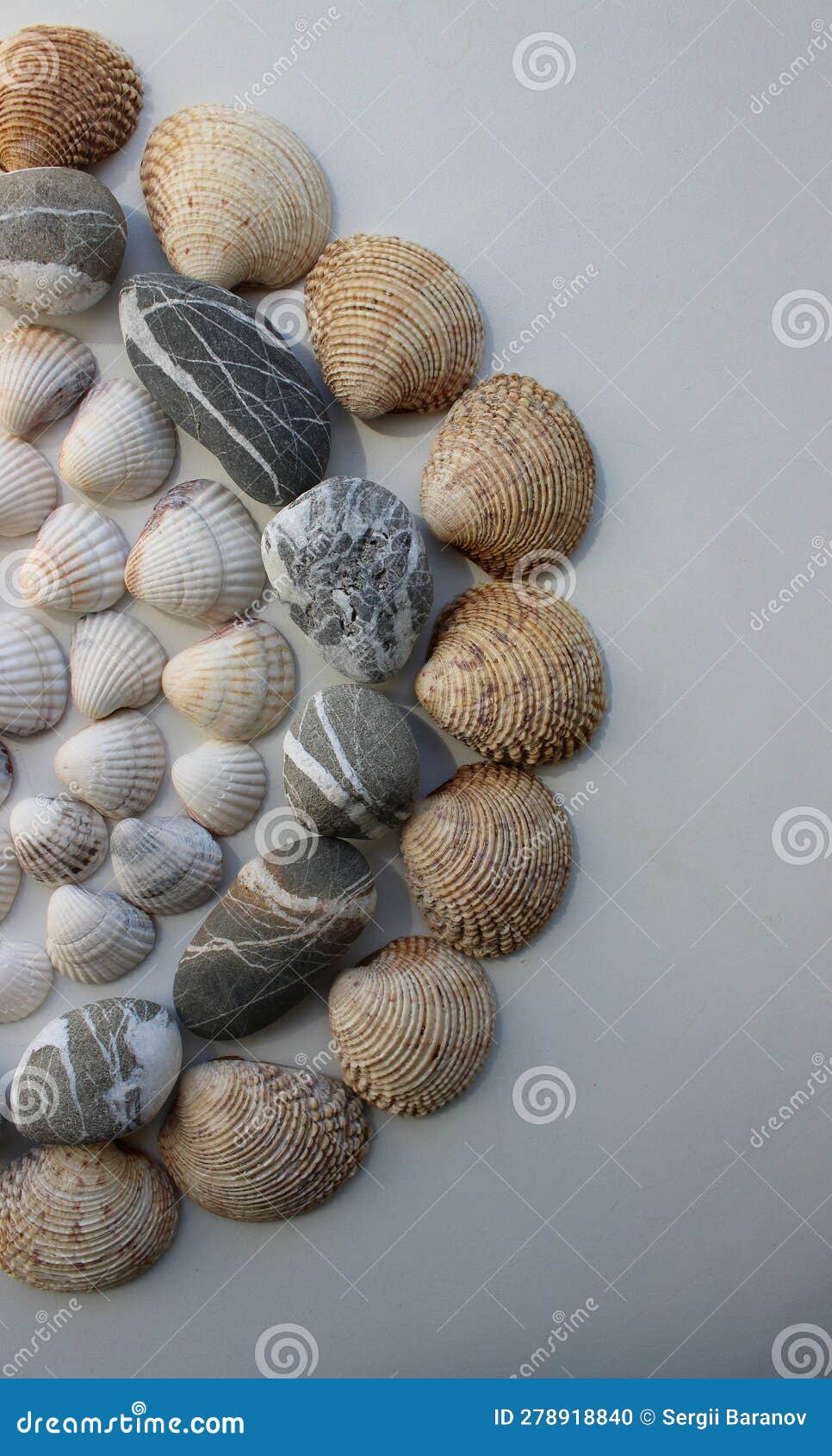 Variety Seashells and Smooth Pebbles Lined Out in a Circle at a Side of ...