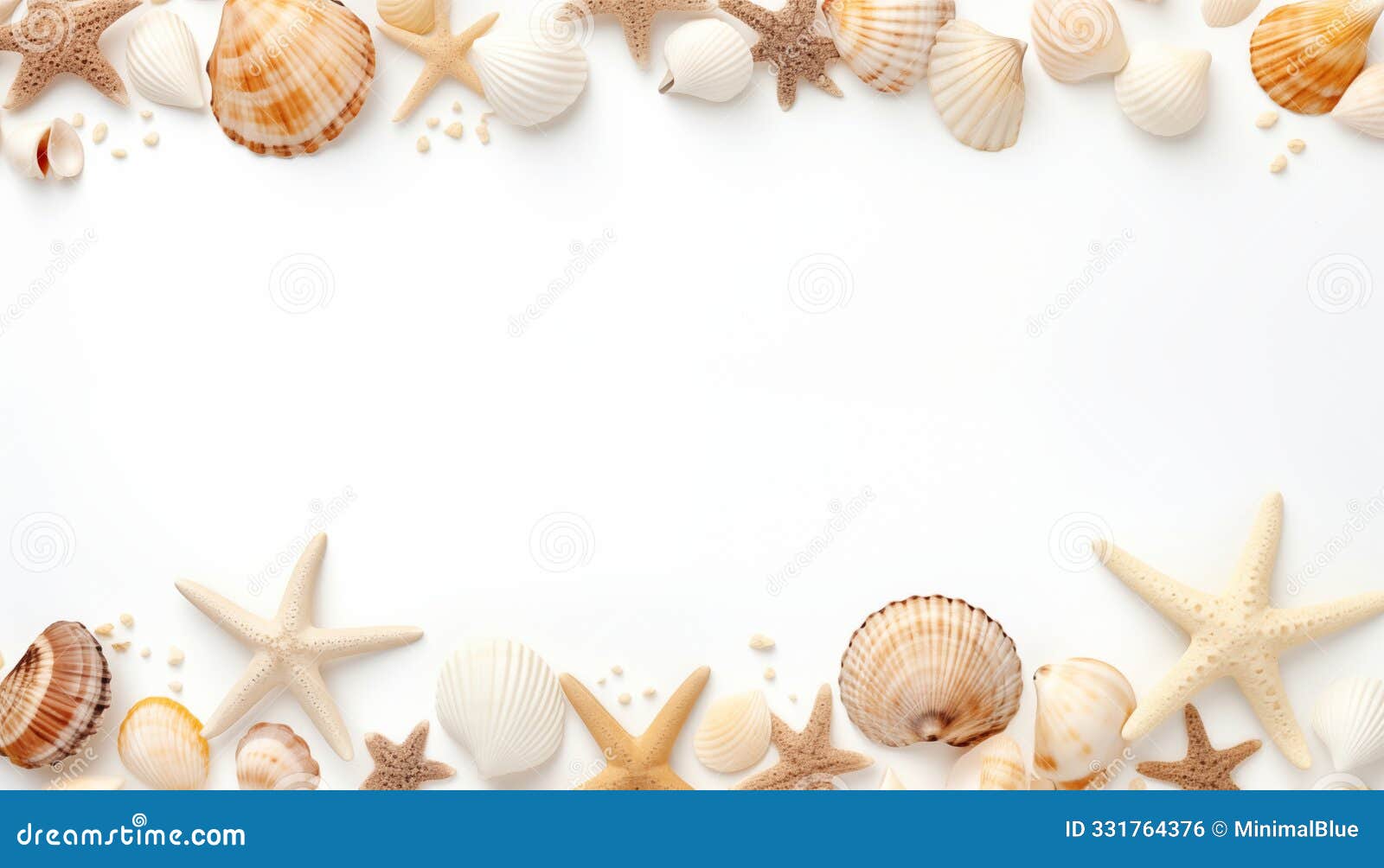 Variety of Seashells and Starfish Arranged in a Border Frame on White ...