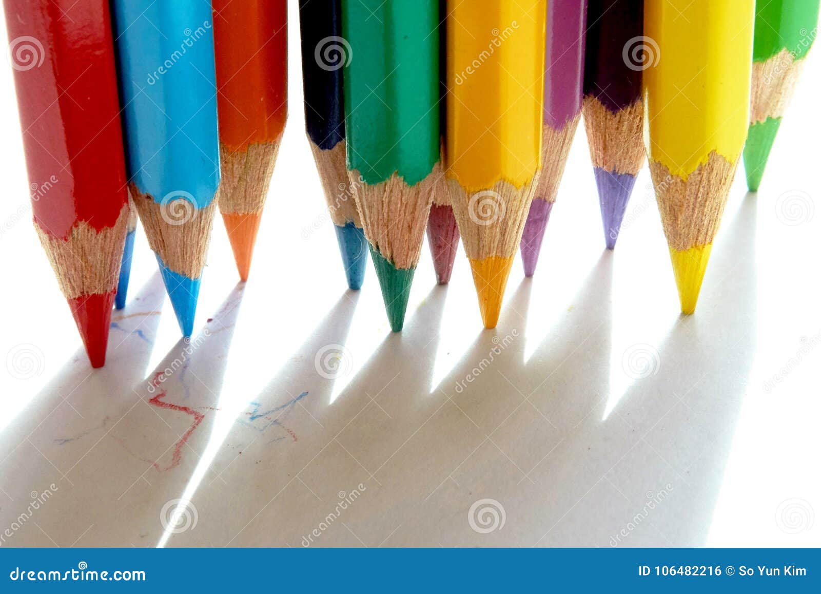 A Variety of Sharpened Pencils Stand on a Piece of Paper. Stock Photo ...