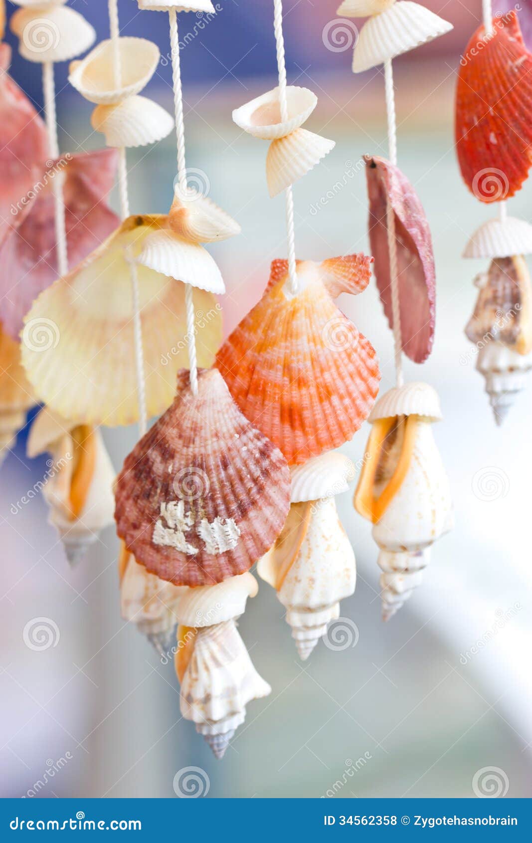 Variety shells mobile. stock photo. Image of handmade - 34562358