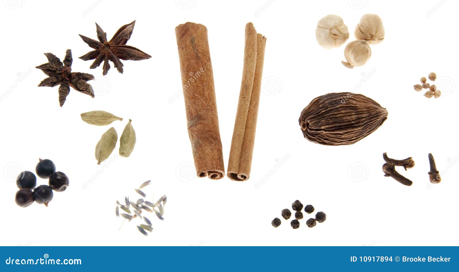 Variety of Spices stock photo. Image of star, allspice - 10917894