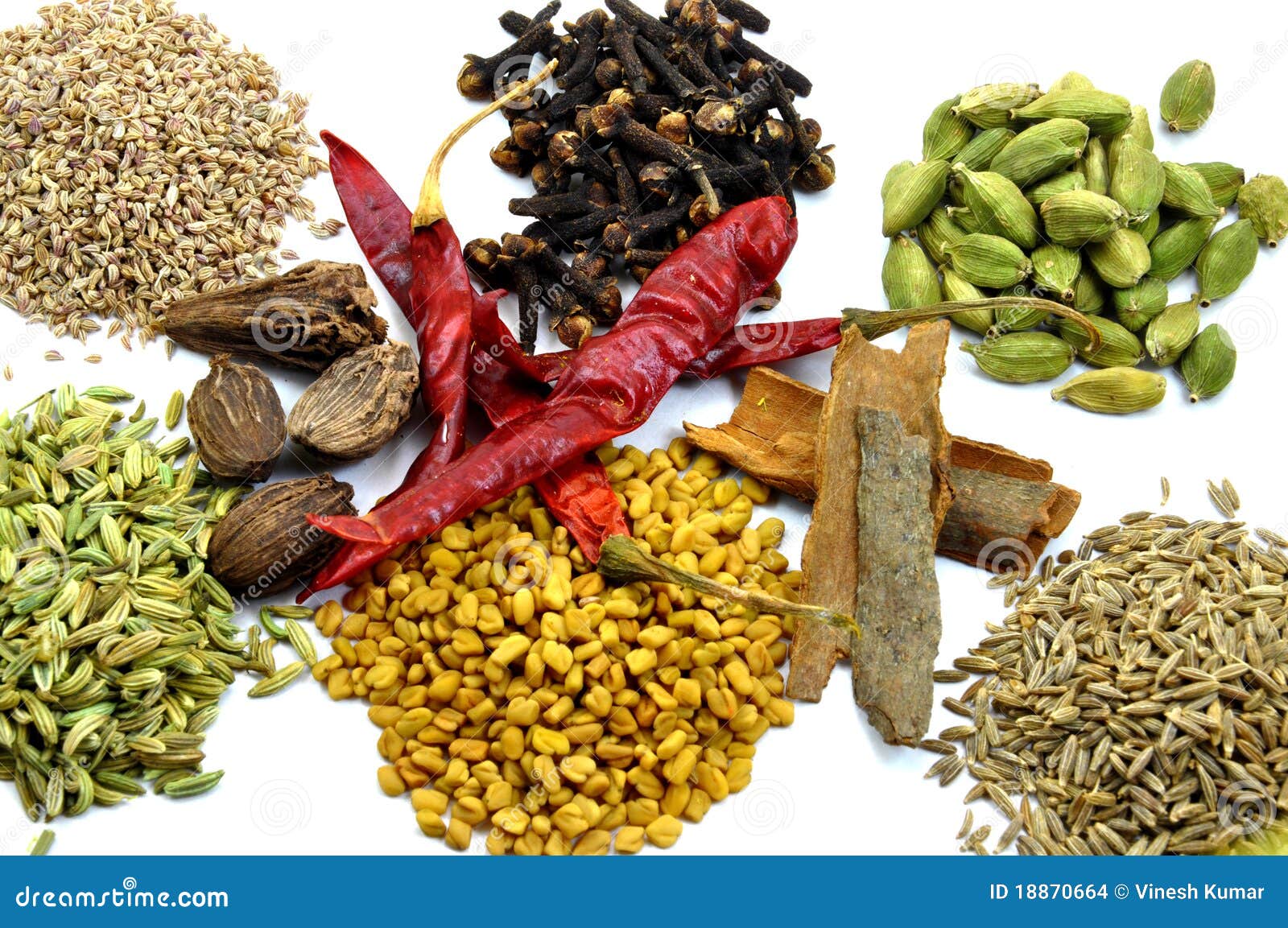 Variety of Spices for Kitchen Stock Photo - Image of cook, cumin: 18870664