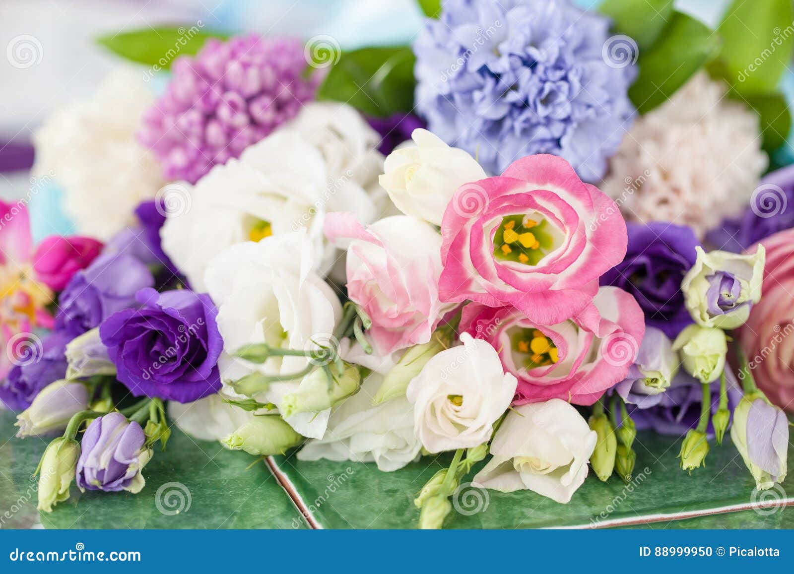 Variety of spring flowers stock photo. Image of focus - 88999950