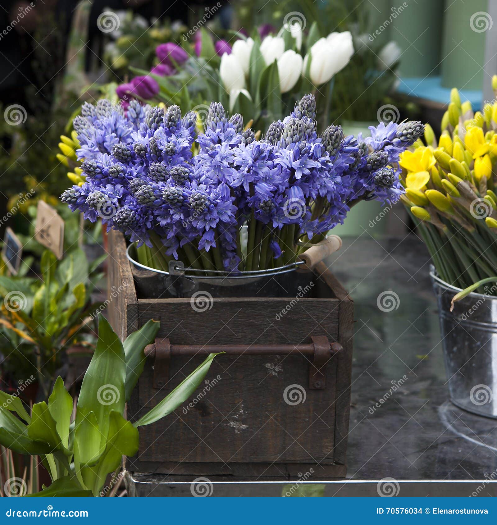 Variety of Spring Flowers in Pots Stock Photo - Image of baggage ...