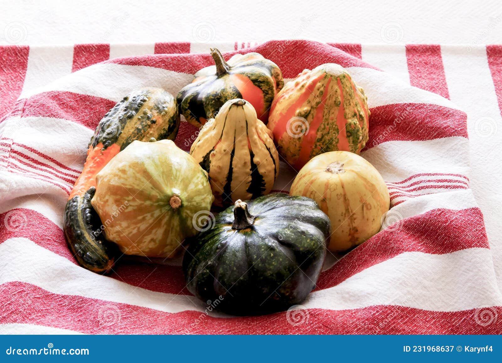 A Variety of Squash of All Shapes and Sizes Stock Image - Image of ...