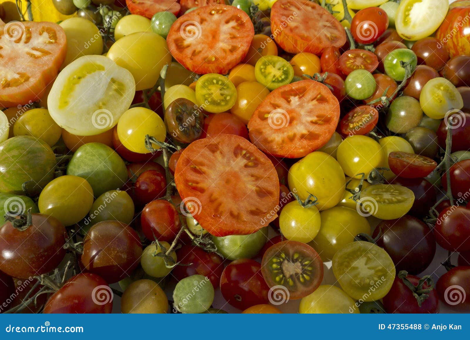 Variety tomatoes stock photo. Image of color, natural - 47355488