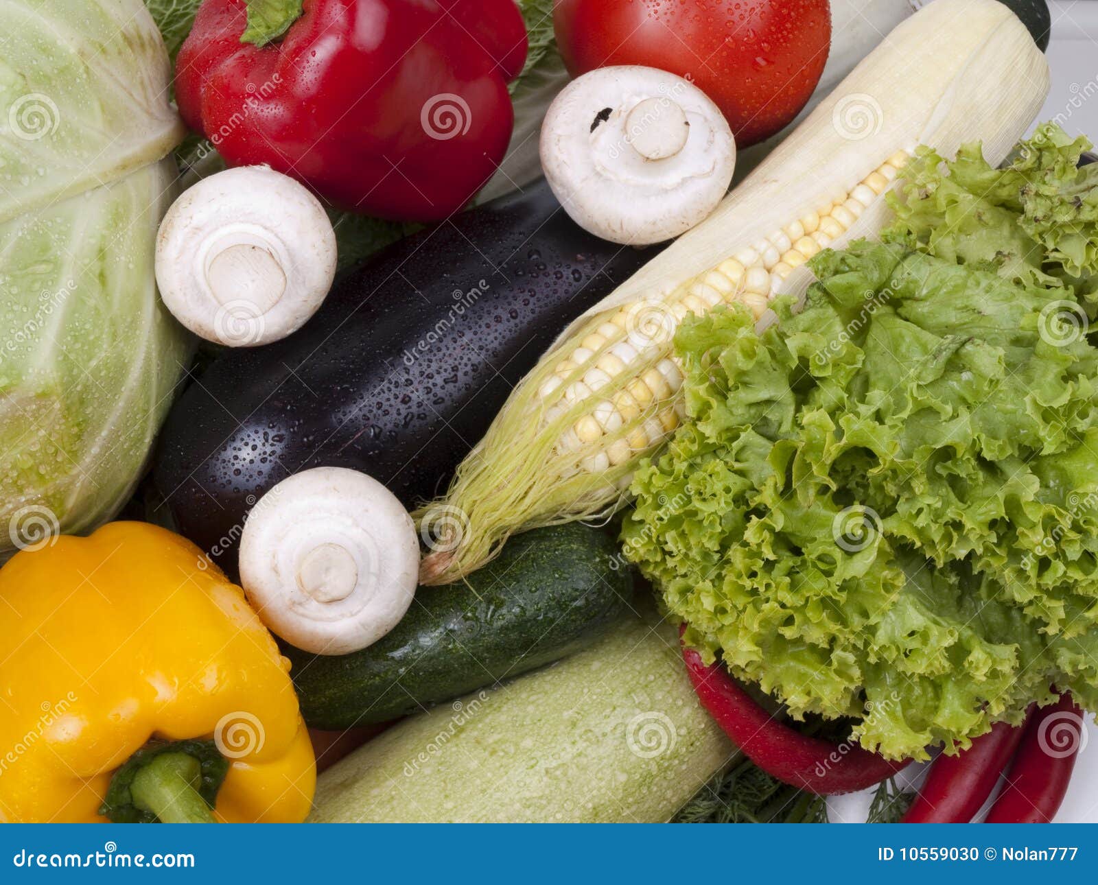 Variety of vegetables stock photo. Image of dill, greenery - 10559030