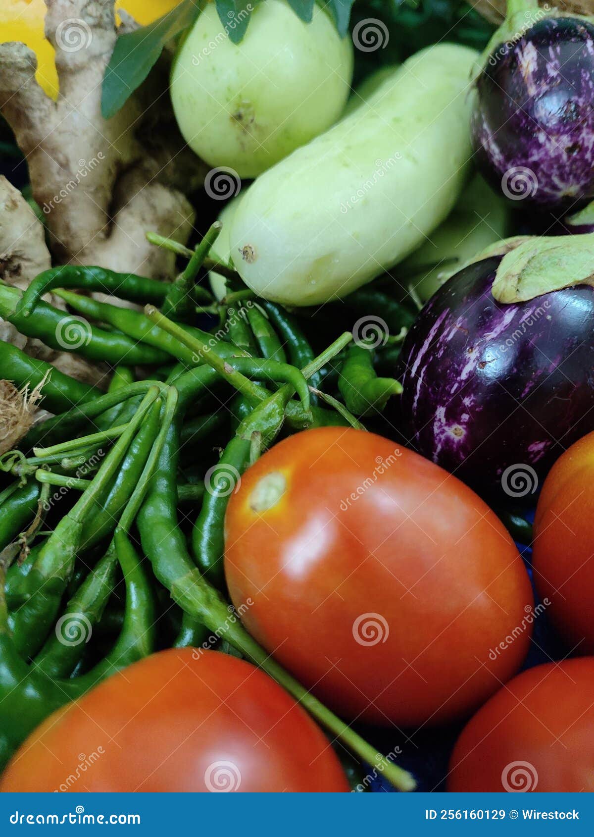 Variety of Vegetables on the Table Stock Image - Image of vegetable ...