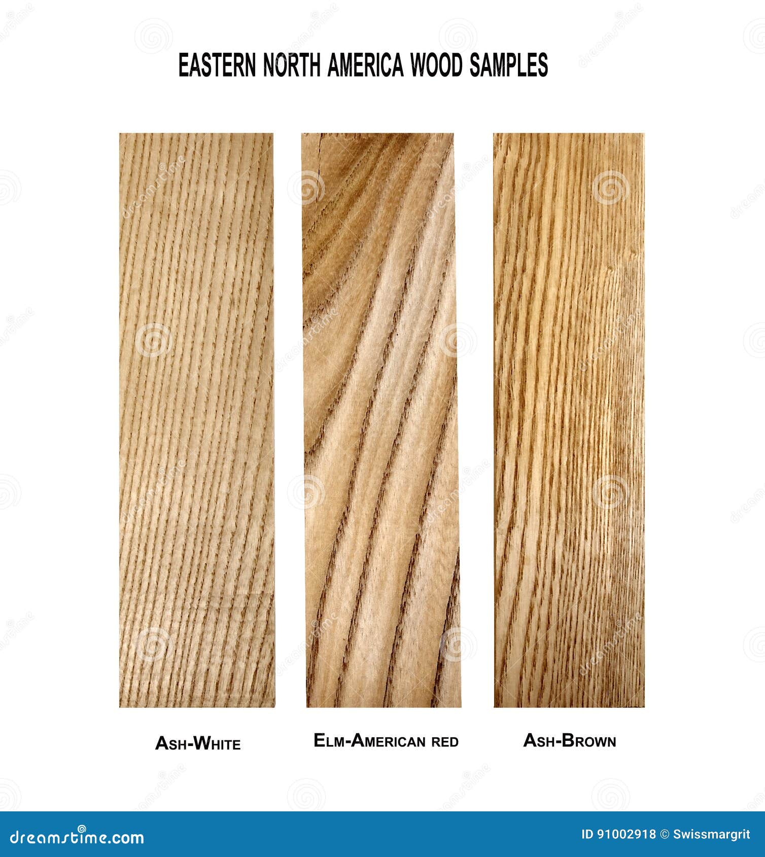 Variety of wood samples stock photo. Image of carpentry - 91002918