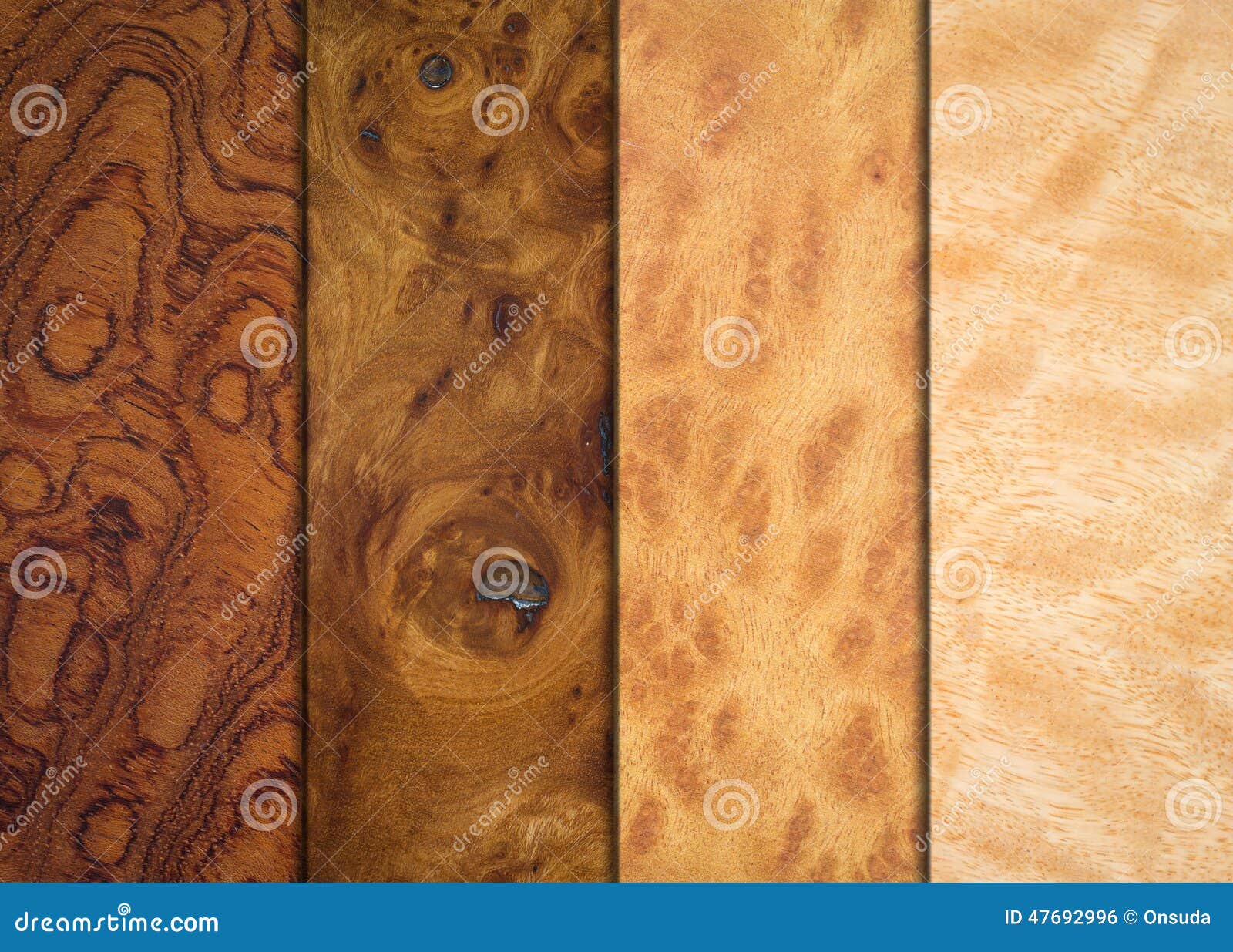 Variety wood textures stock photo. Image of backdrop - 47692996