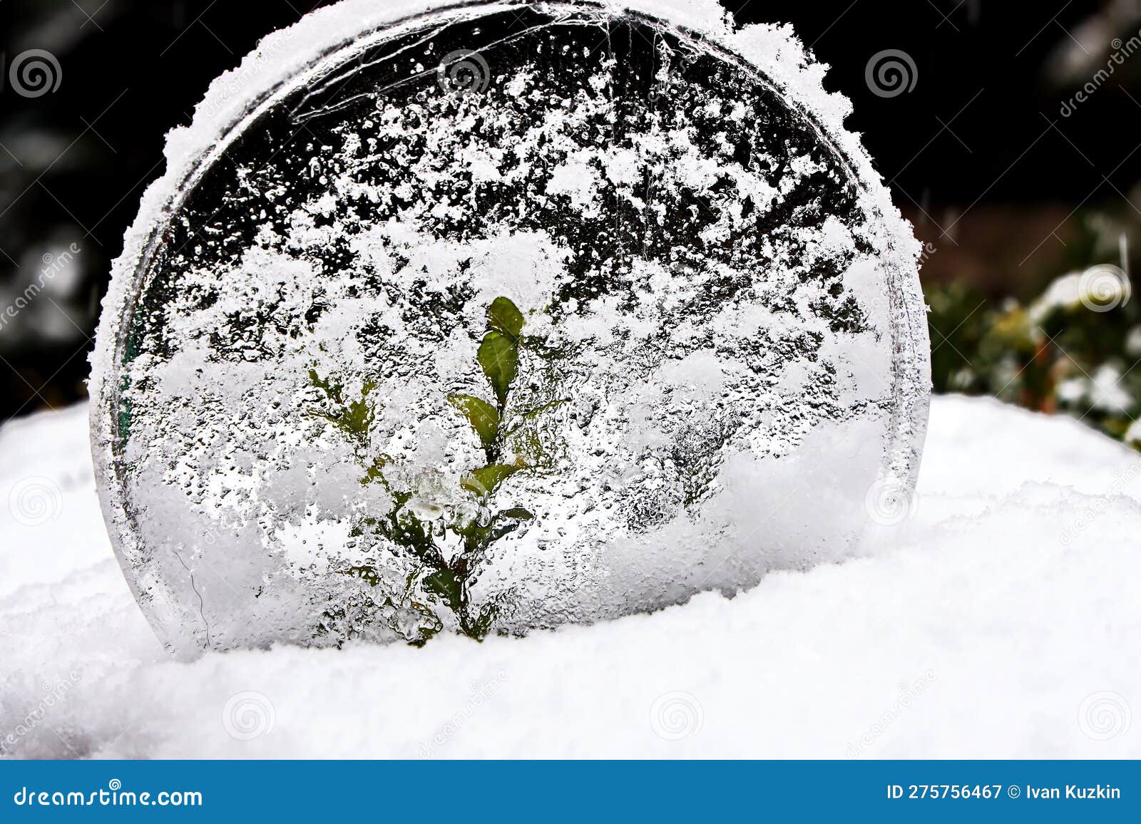Various Abstract Patterns and Drawings Appearing on the Round Freezing ...