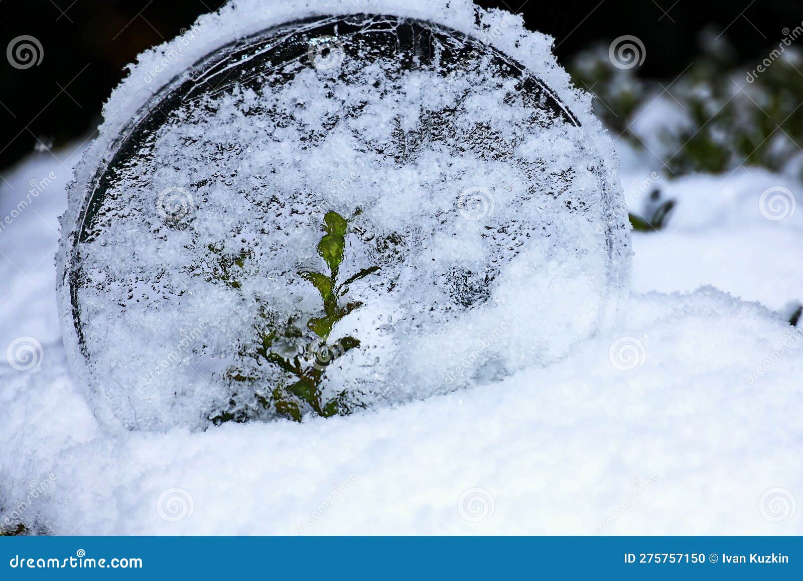 Various Abstract Patterns and Drawings Appearing on the Round Freezing ...