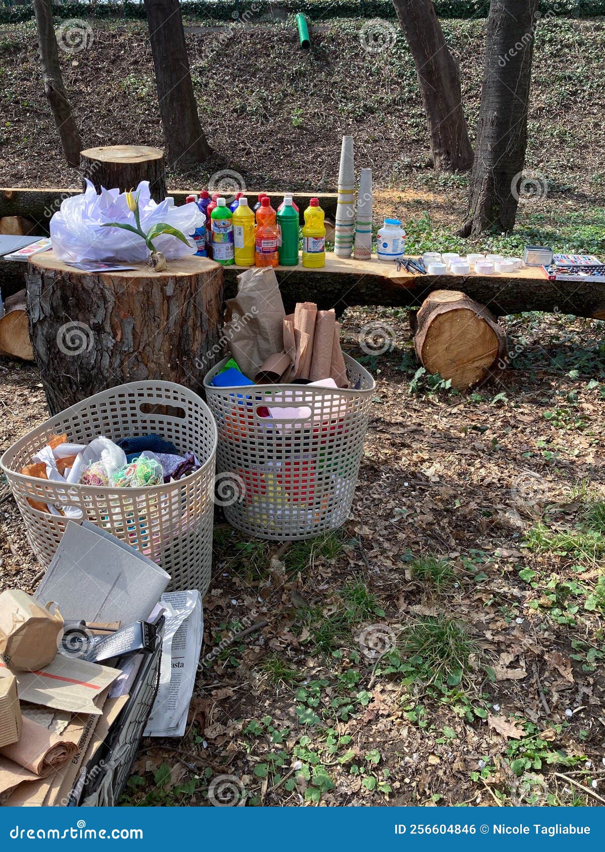 Various Art Tools and Materials for an Art Lab in the Forest on a ...