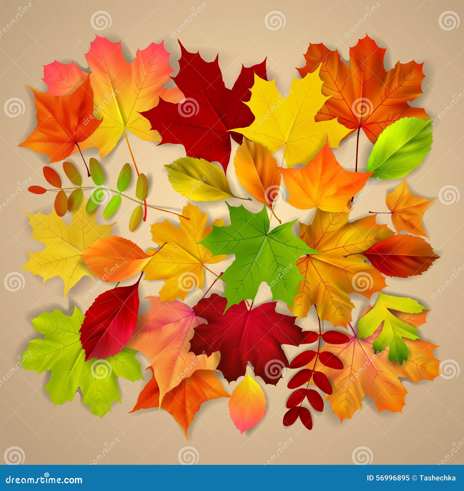 Various Autumn Leaves on Beige Background Stock Vector - Illustration ...