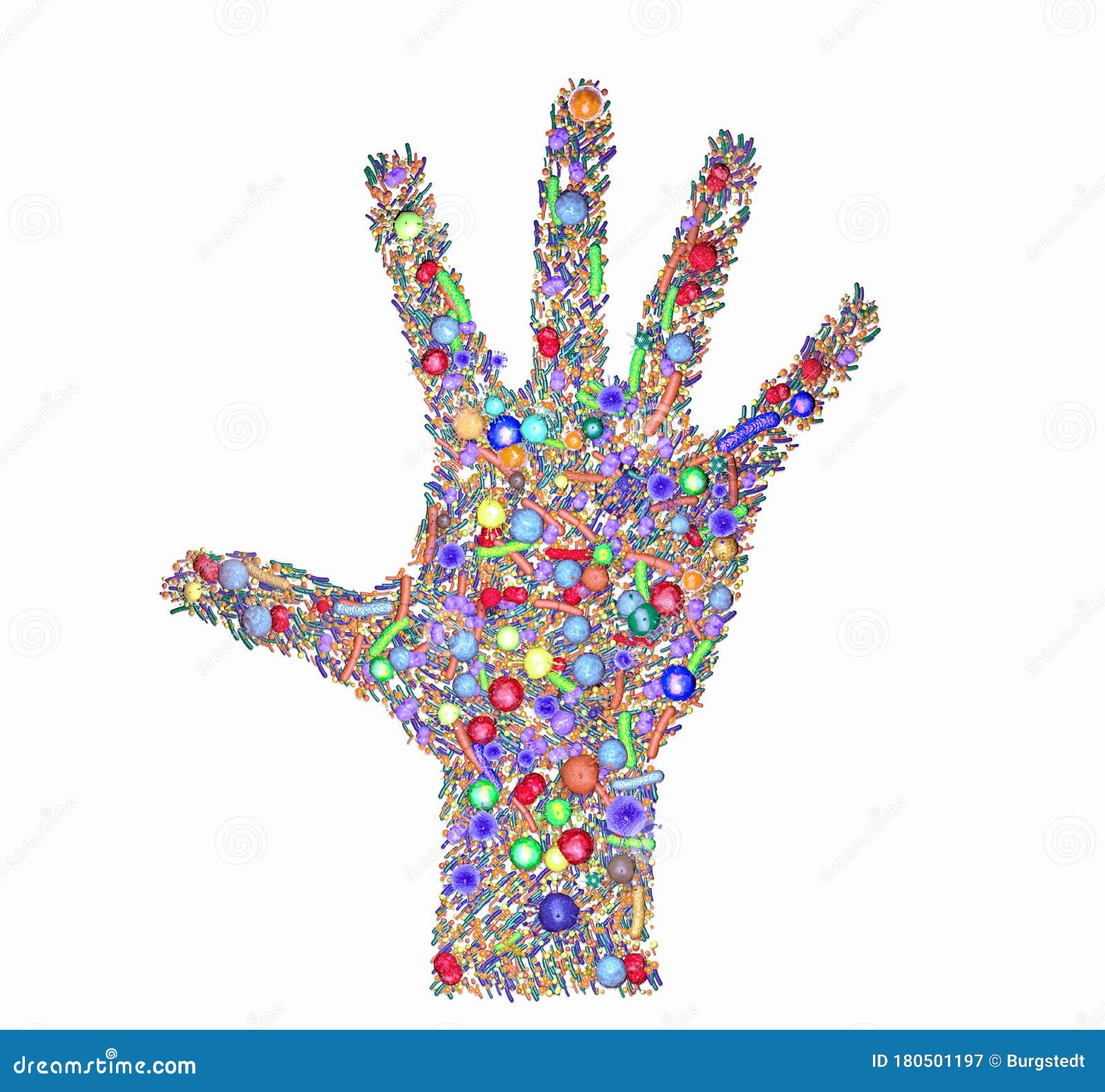 Various Bacteria and Pathogens on a Human Hand, the Microbiota of the ...