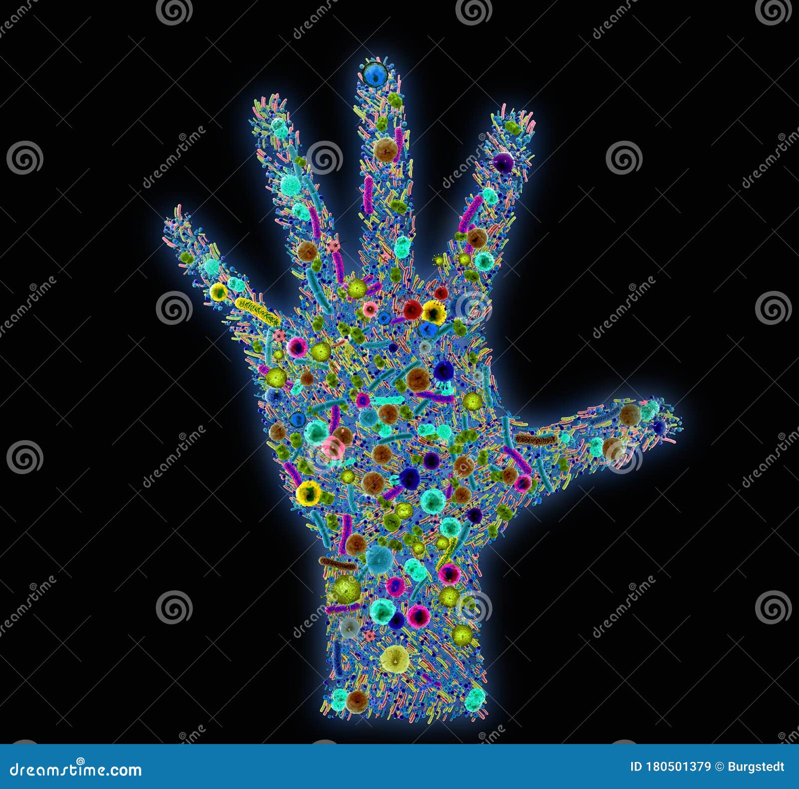 Various Bacteria and Pathogens on a Human Hand, the Microbiota of the ...