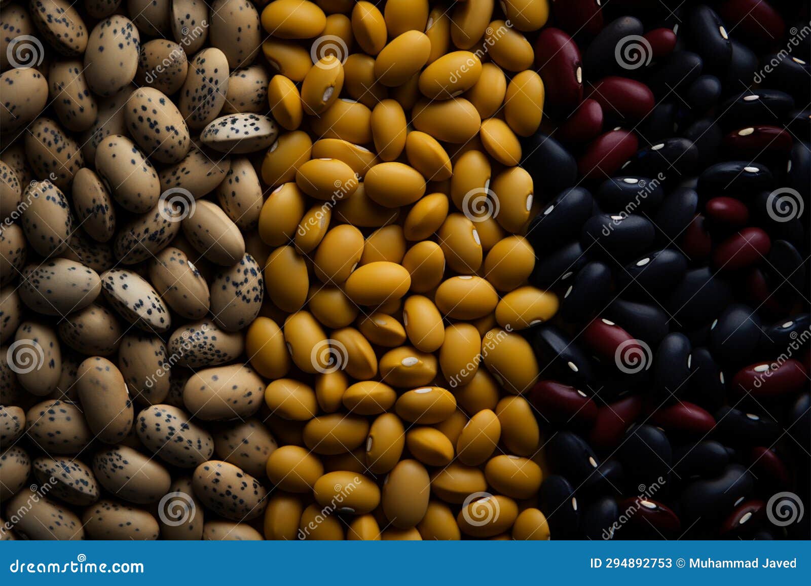 Various Bean Types, Flawlessly Linked in a Perfectly Connected ...
