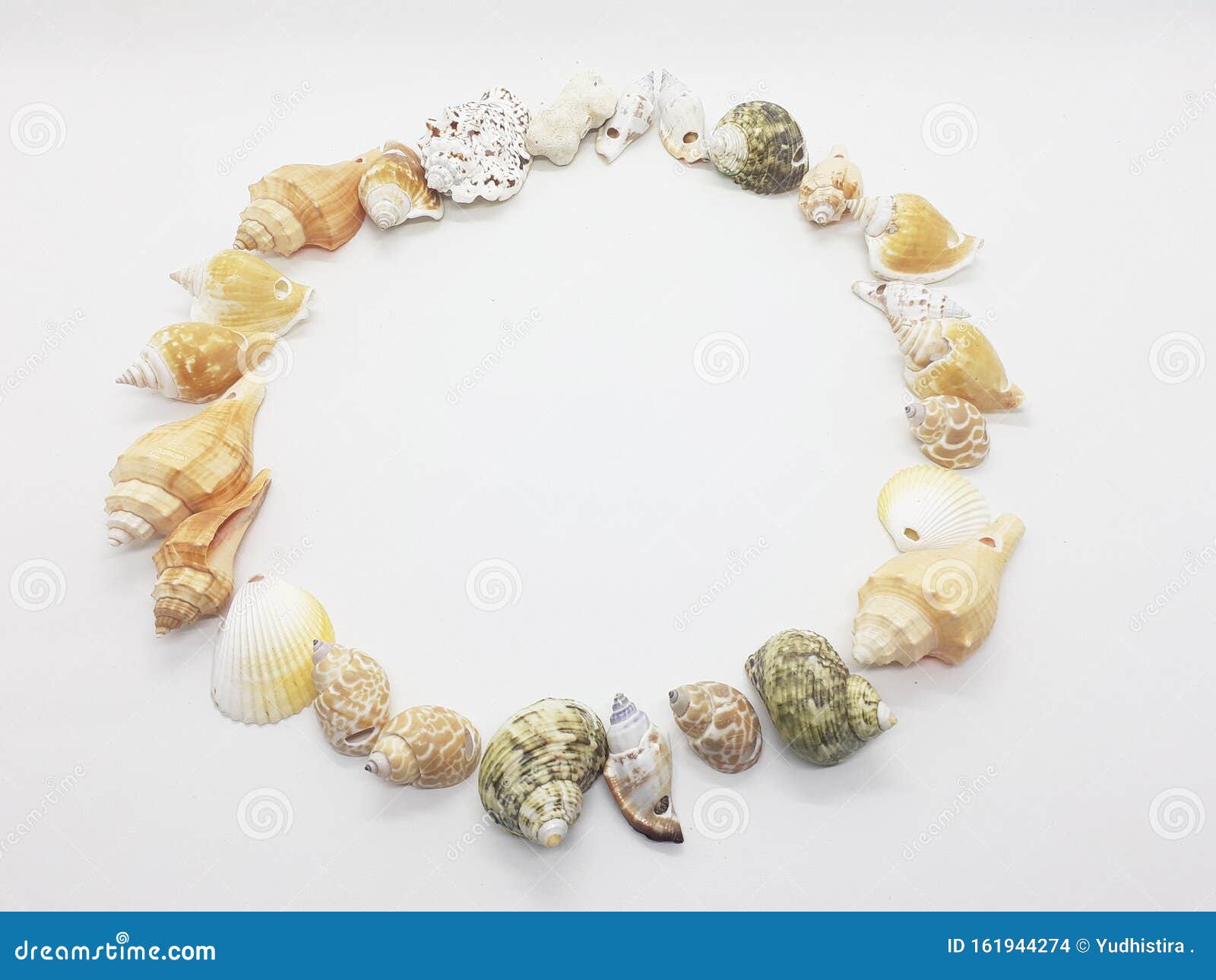 Various Beautiful and Colorful Beach Objects Small Unique Sea Shell in ...