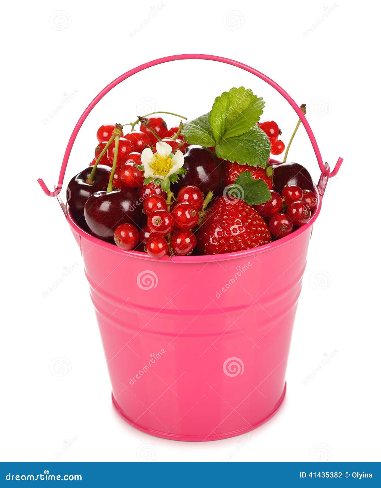 Various Berries in a Bucket Stock Photo - Image of ingredient, edible ...