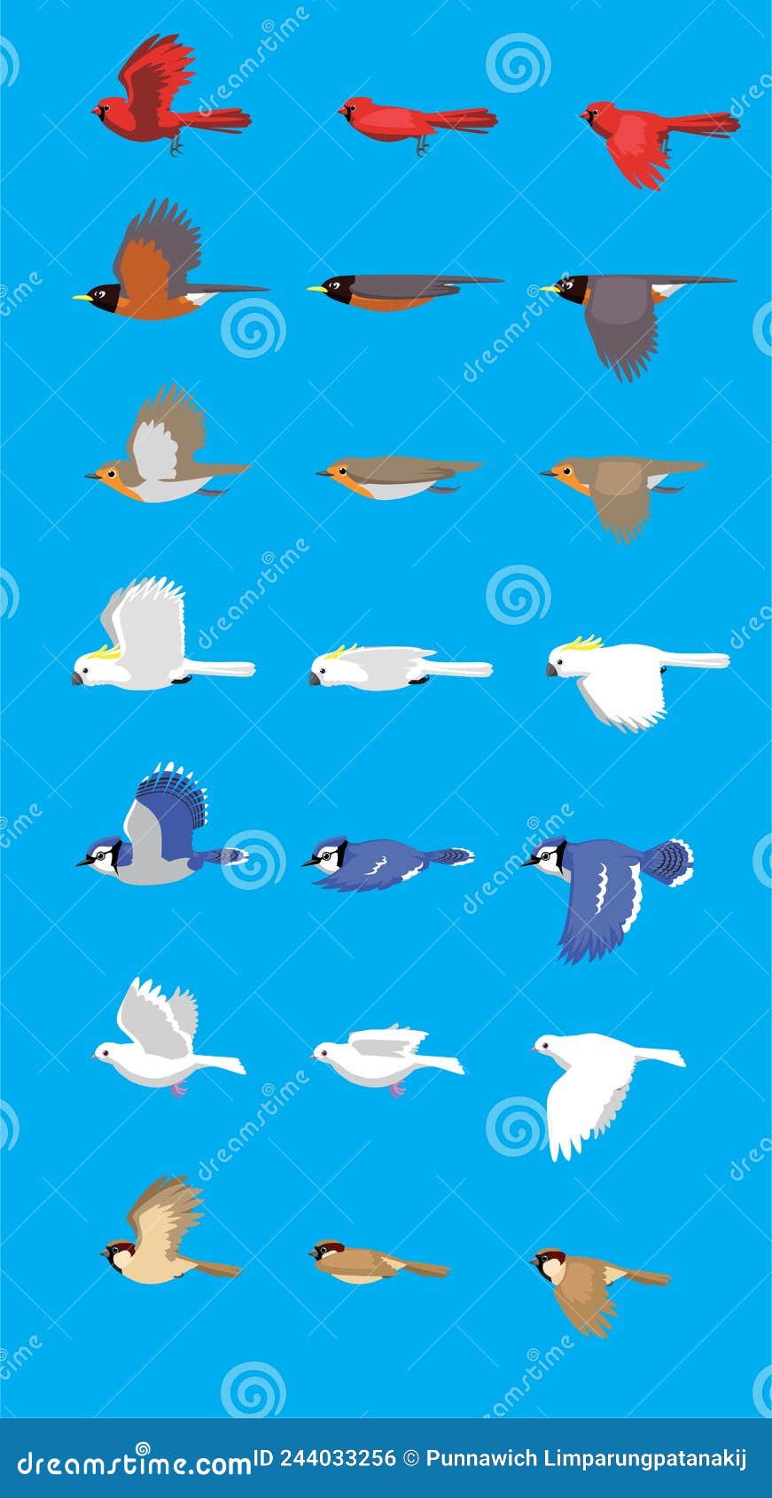 Various Bird Flying Sequence Cute Cartoon Vector Illustration Set 3 ...
