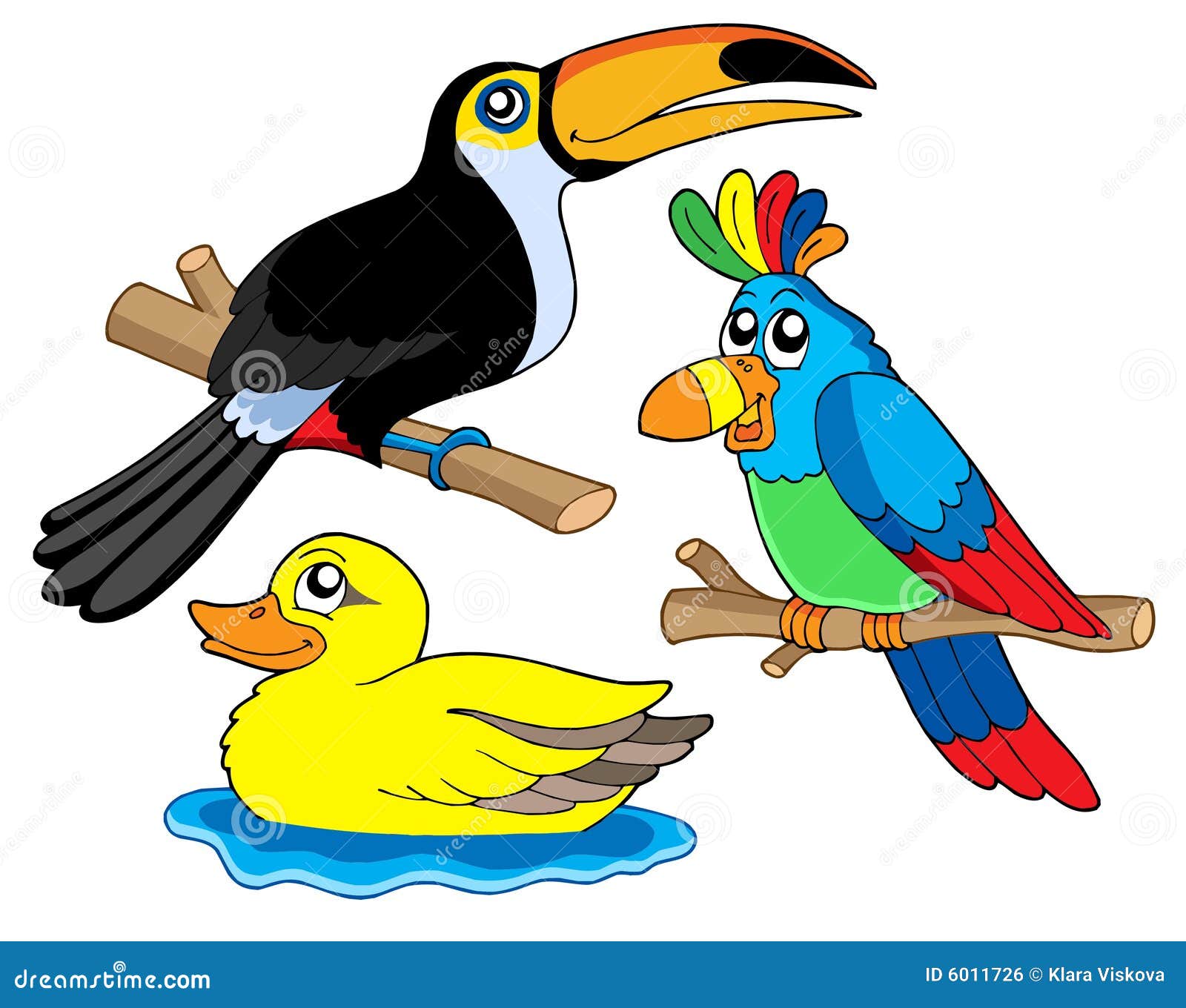 Birds Collection Vector Set. Cartoon Bird Characters Collection ...