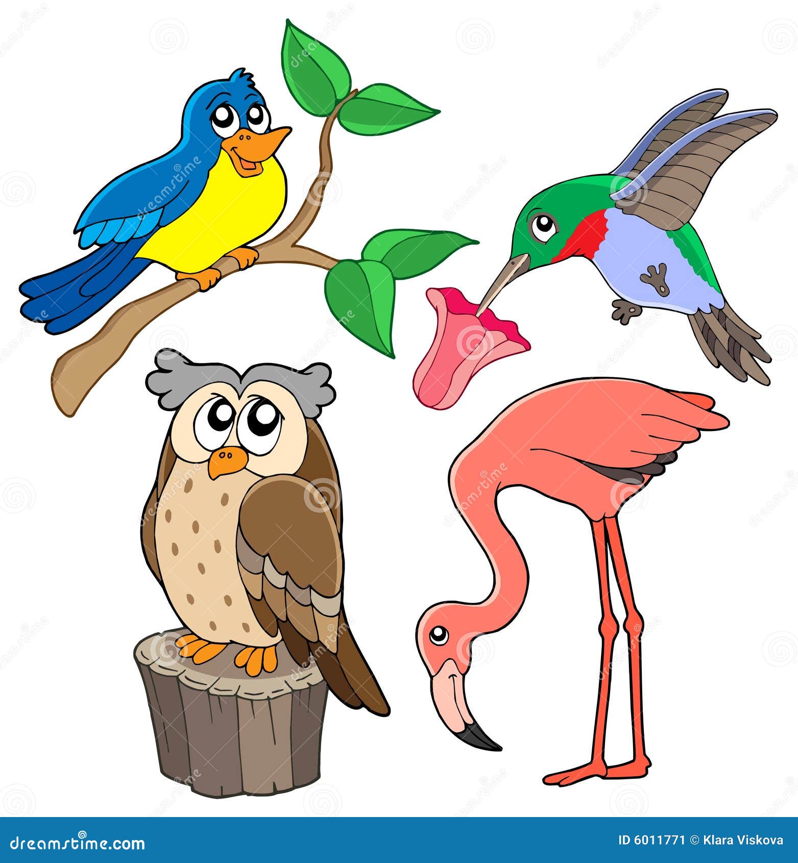 Birds Collection Vector Set. Cartoon Bird Characters Collection ...