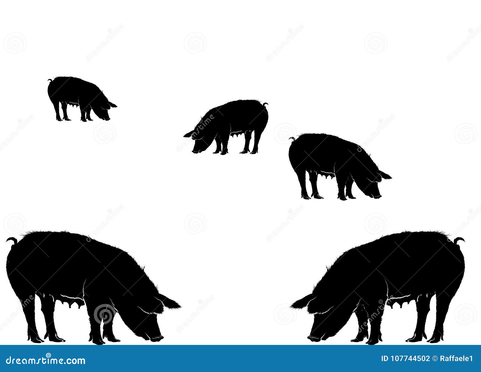 Various pigs eating vector stock vector. Illustration of vector - 107744502