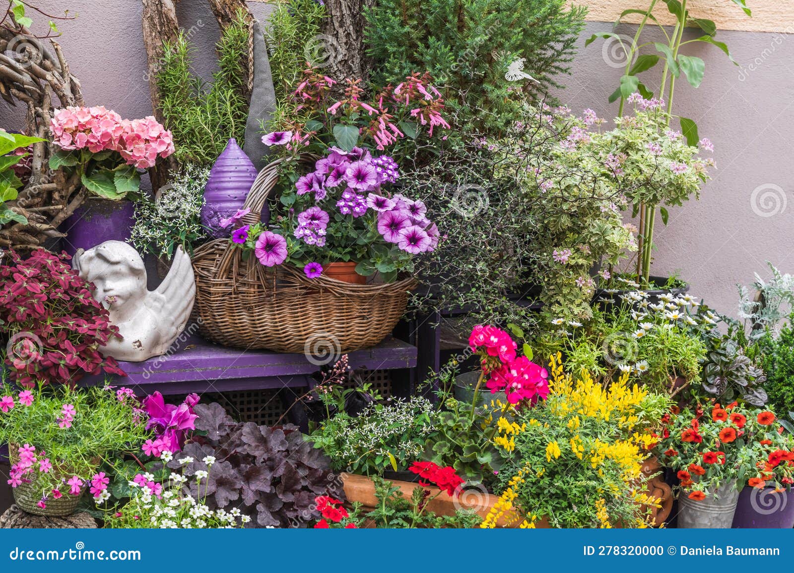 Various Blooming Spring Flowers in Pots As a Decoration in Front of a ...