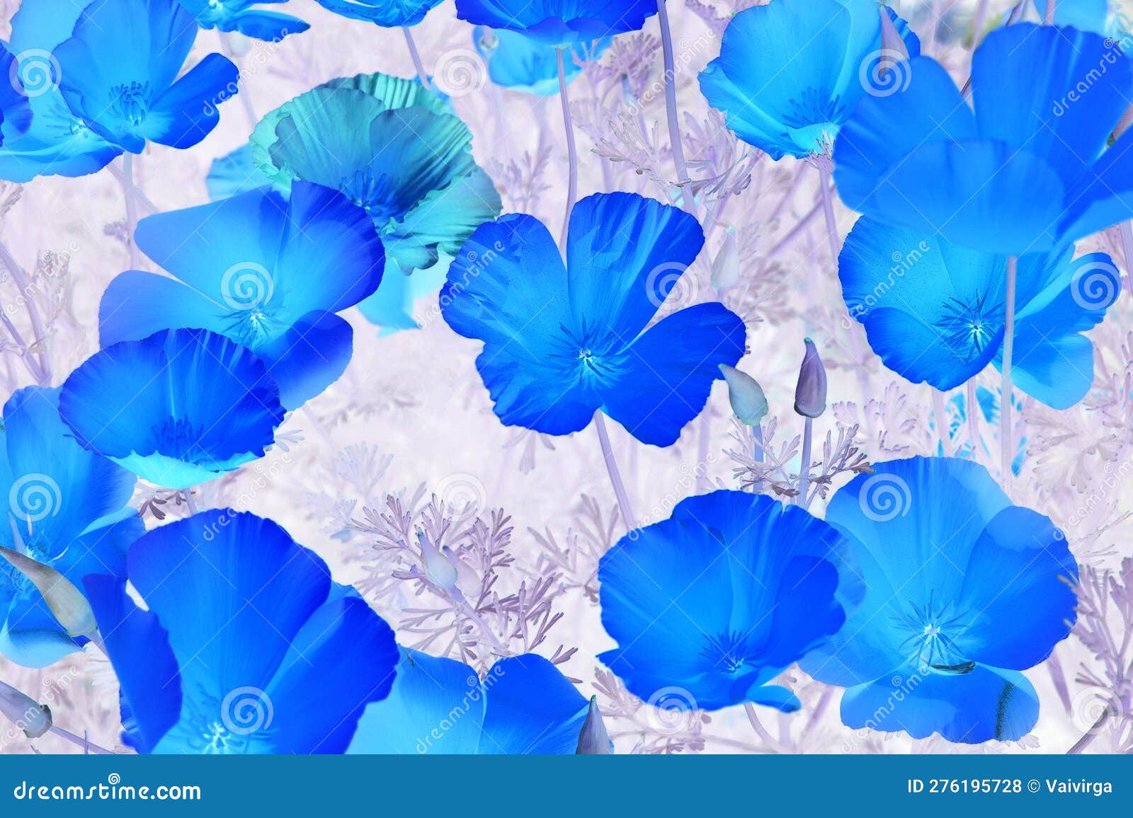 Various Blue Flowers Head, Top View, Close Up on White Background Stock ...