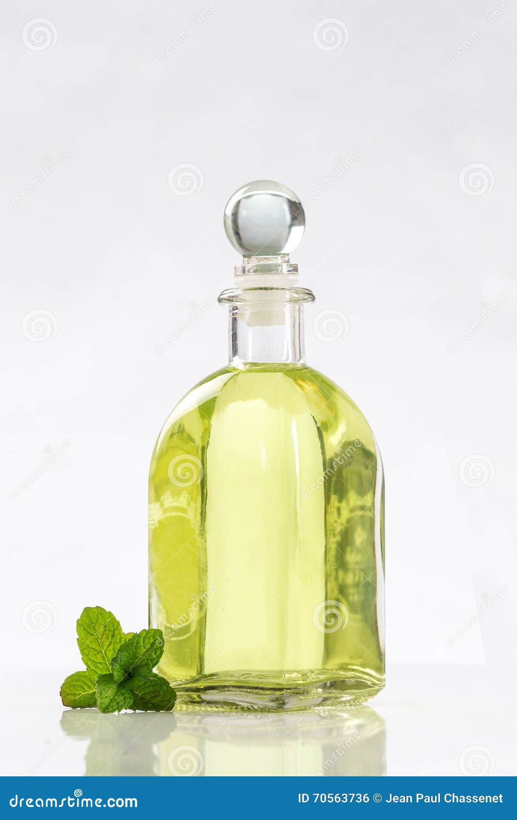 Various Bottle of Essential Oils and Essences of Fresh Plants Stock ...