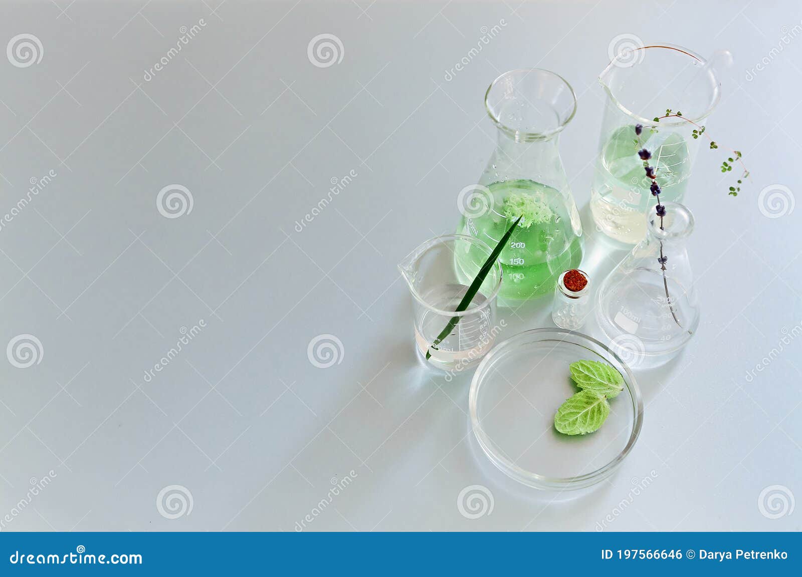 Various Bottles on Table in Laboratory Stock Photo - Image of ...