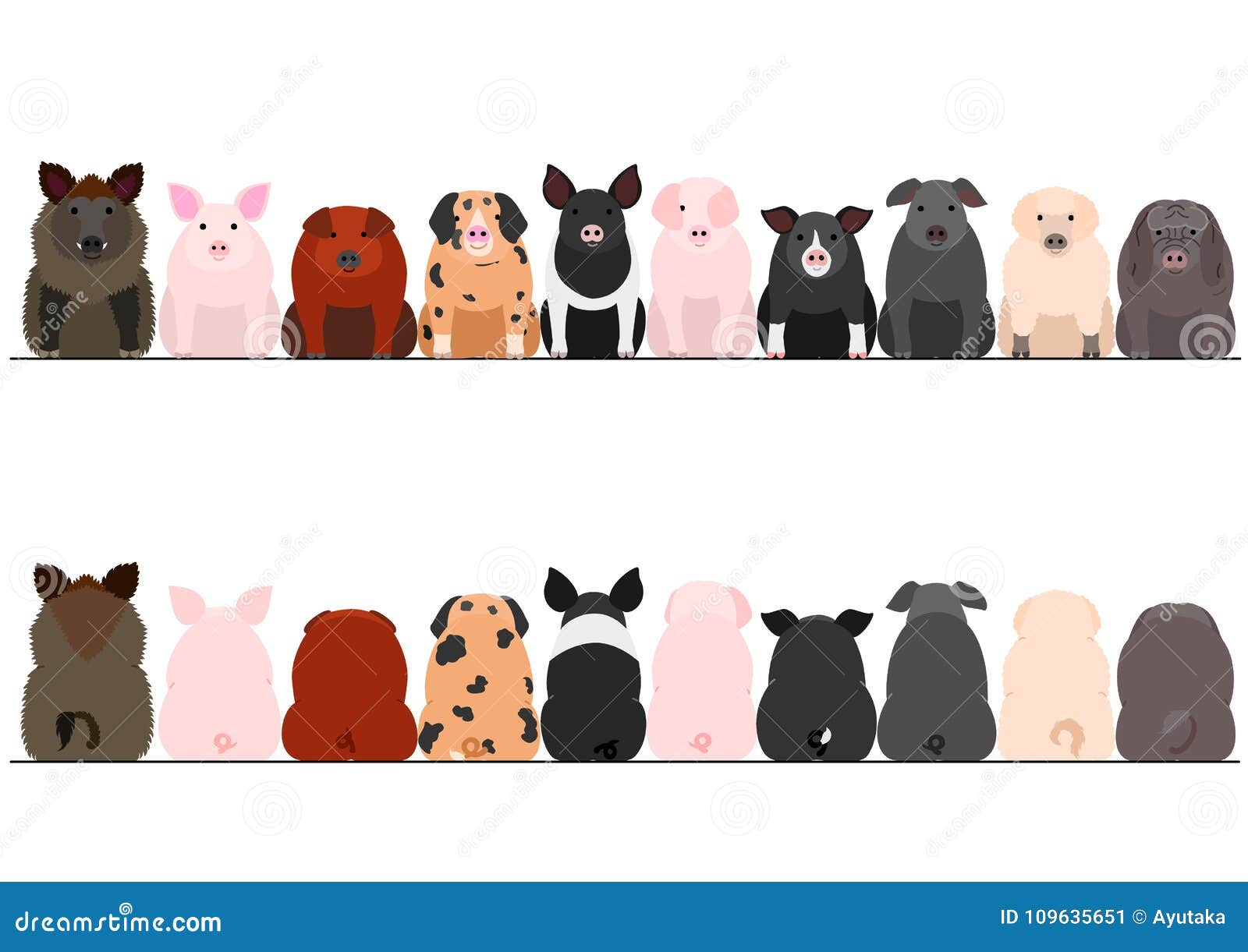 Various Breeds of Pigs Front and Back Border Set Stock Vector ...