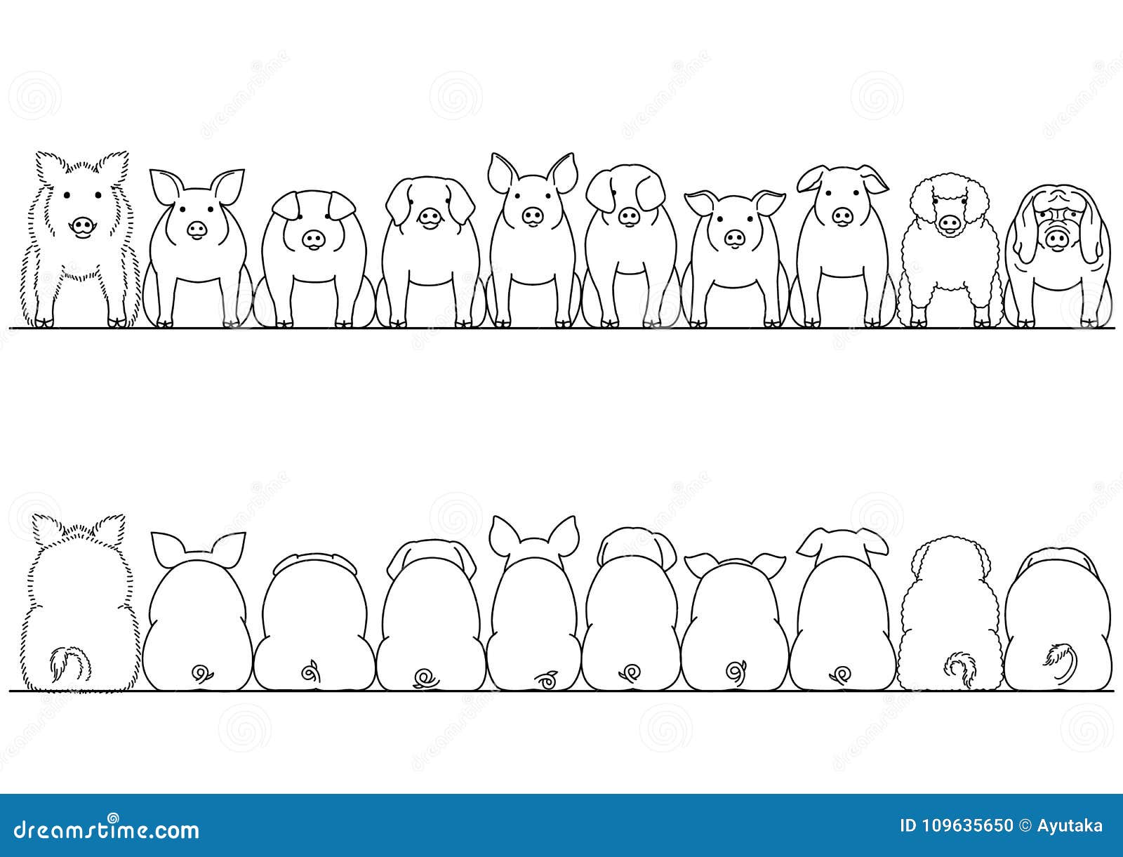 Various Breeds of Pigs Front and Back Border Set Stock Vector ...