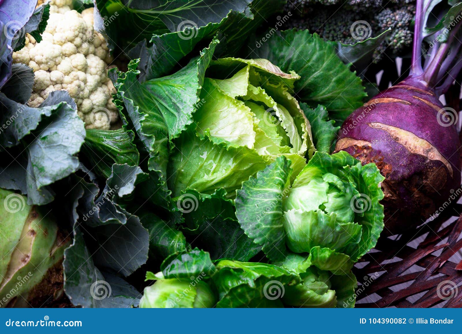 Various of Cabbage Broccoli Cauliflower. Assorted of Cabbages in Basket ...