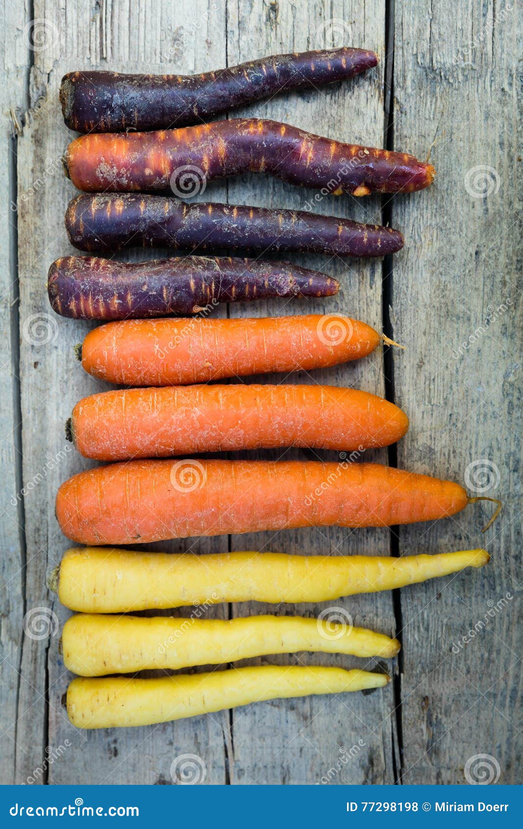 Various carrots on a table stock photo. Image of purple - 77298198