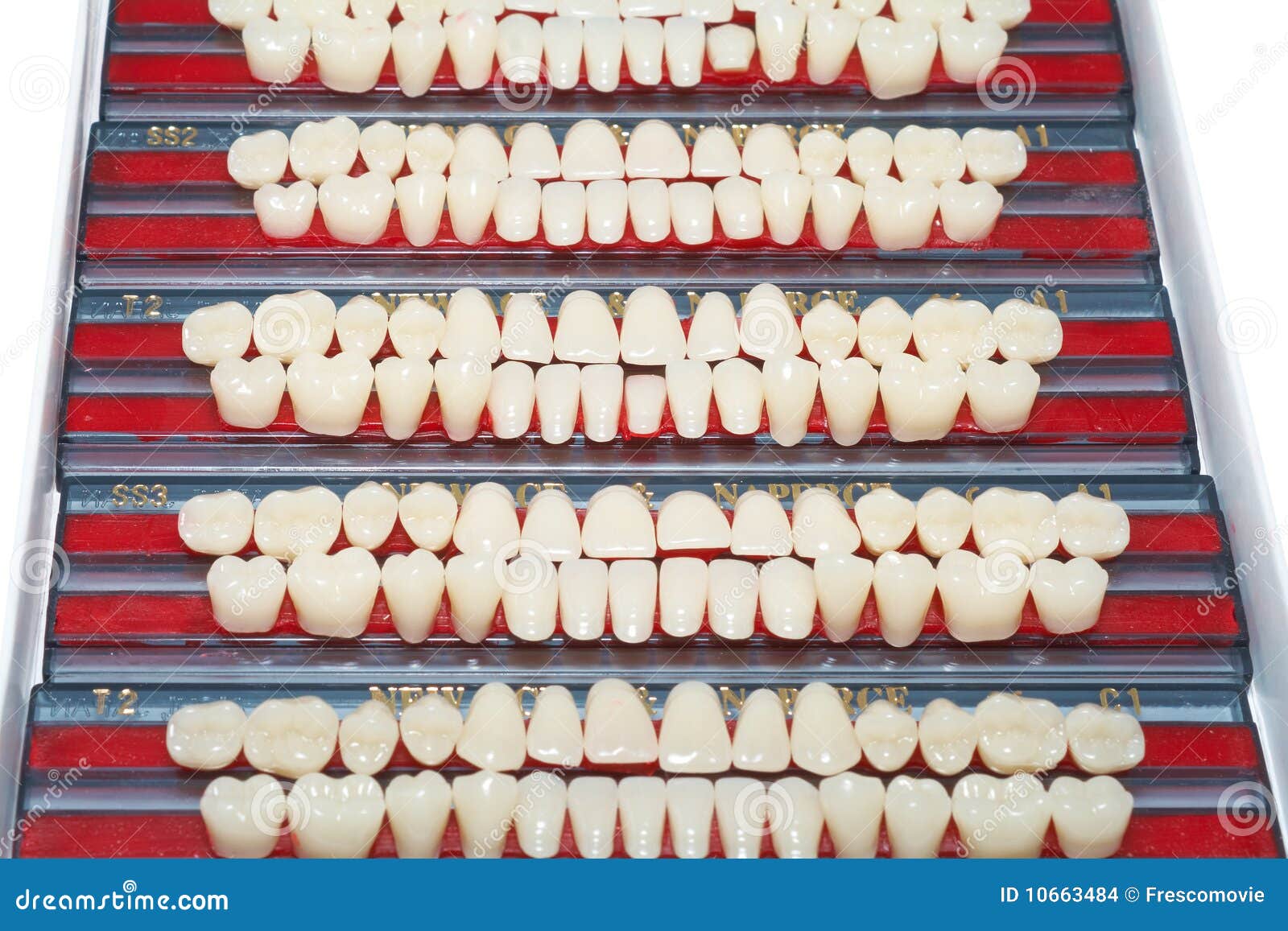 Various ceramic teeth stock photo. Image of fake, filling - 10663484