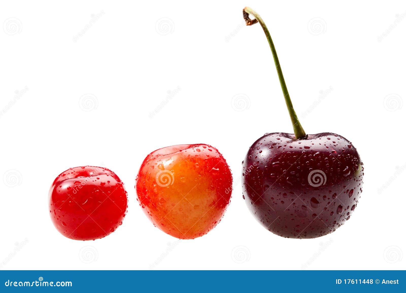 Various cherries stock photo. Image of fruitage, fruit - 17611448