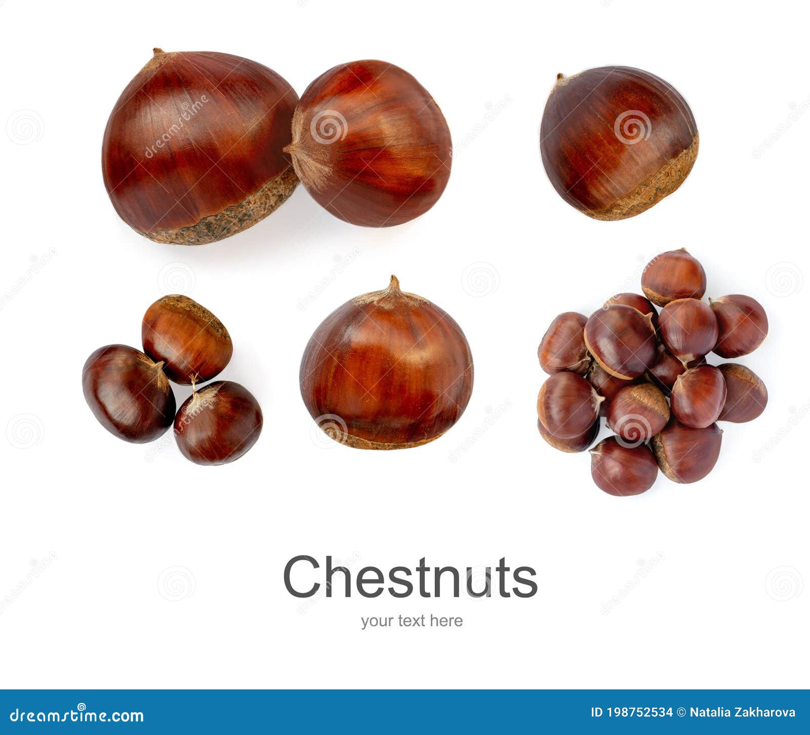 Various Chestnuts Isolated on White Background. Chestnut Top View. Flat ...